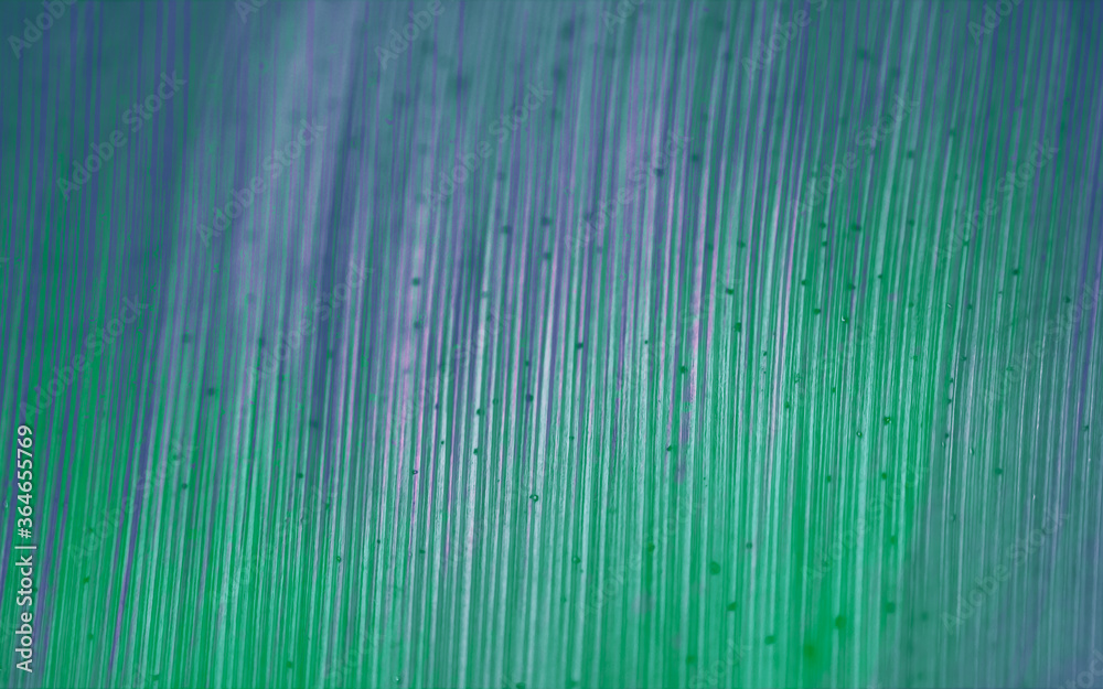 Natural Graphic Background Stock Photo | Adobe Stock