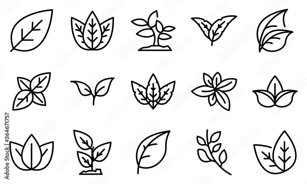 Basil icons set. Outline set of basil vector icons for web design ...