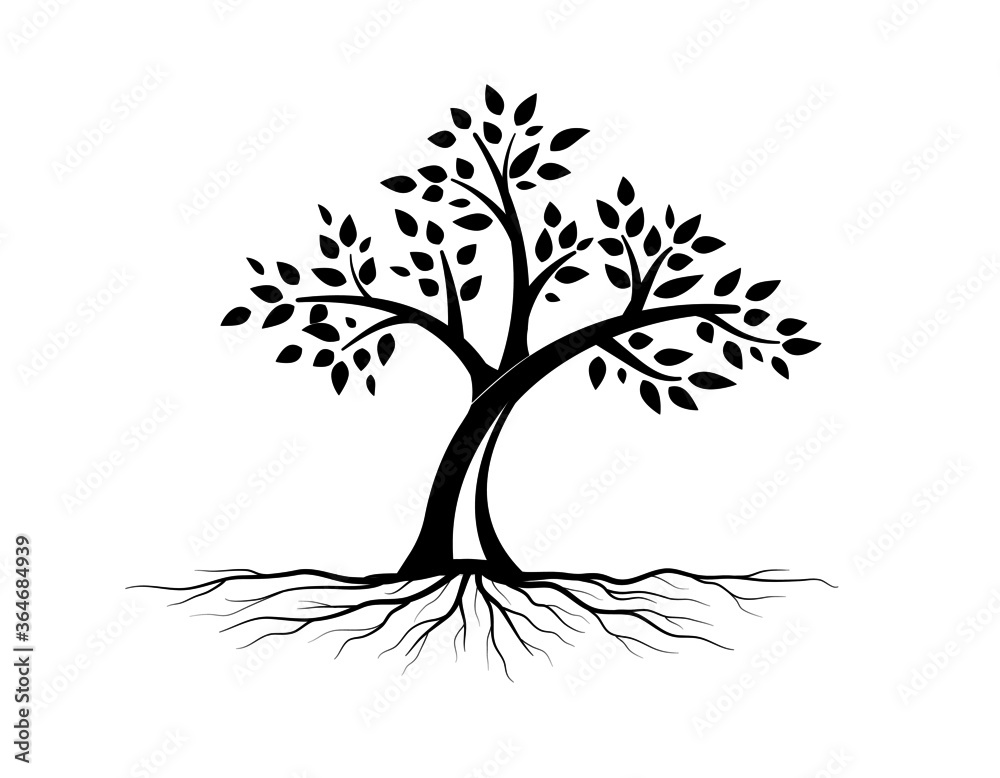 Black Trees and root with leaves look beautiful and refreshing.Tree and ...