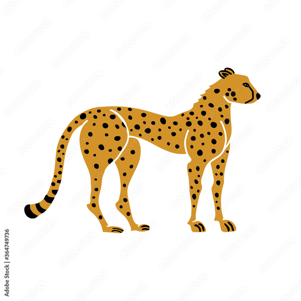 Cheetah cartoon vector illustration. Hand drawn safari animal, flat ...