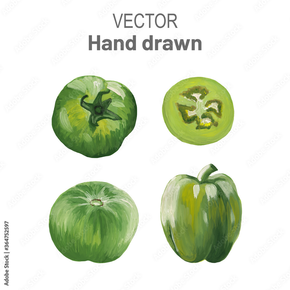 whole green tomato and slice, green bell pepper isolated on a white ...