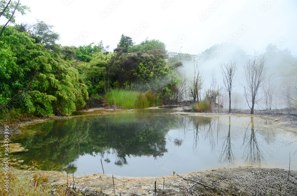 Rotorua, a town set on its namesake lake on New Zealand's North Island ...