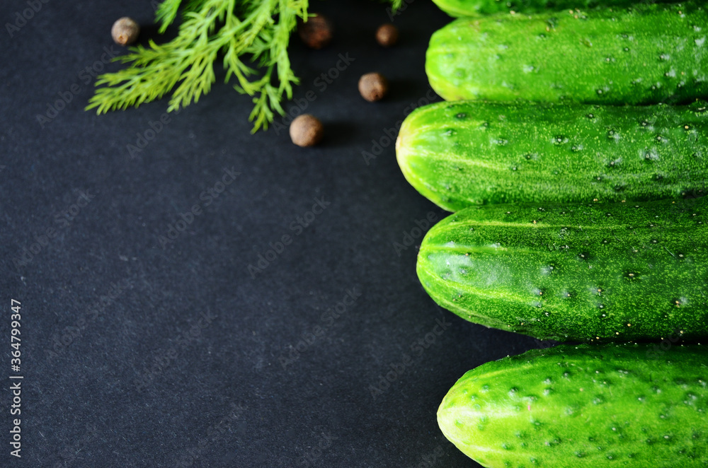 green fresh ogres lined with grey background with dill and fragrant ...