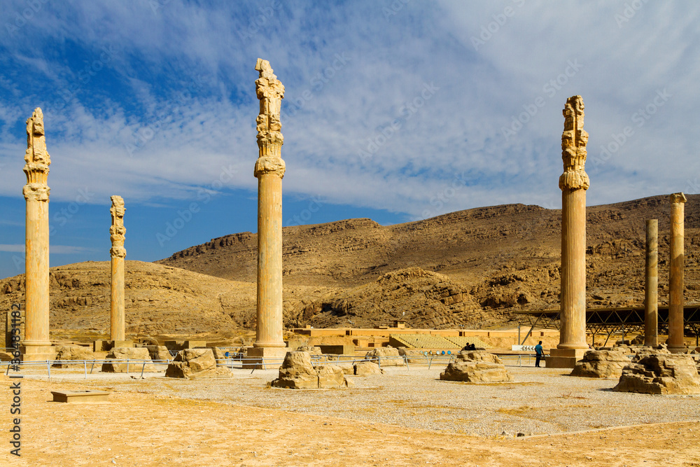 Ruins of Apadana and Tachara Palace behind stairway with bas relief ...