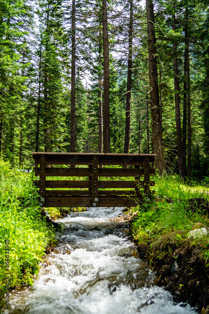 Footbridge crossing a rapid flowing stream in an Oregon public park ...
