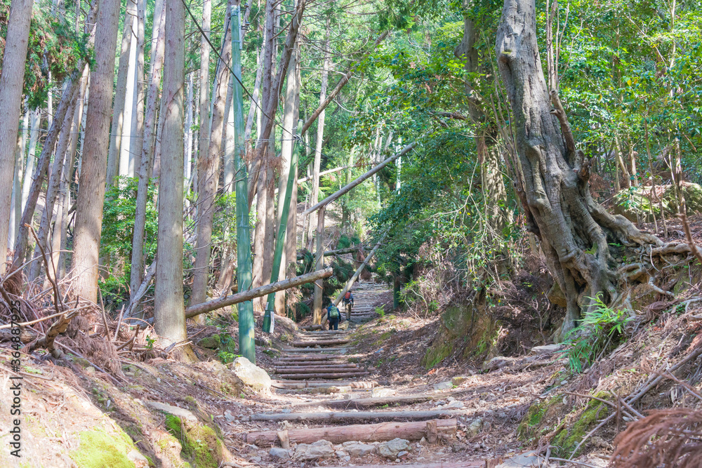 Approach to Atago Shrine on Mt. Atago in Kyoto, Japan. Atago Shrine is ...