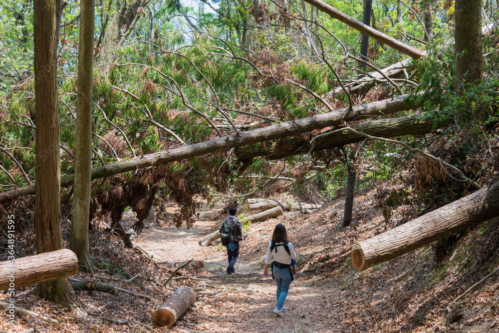 Approach to Atago Shrine on Mt. Atago in Kyoto, Japan. Atago Shrine is ...