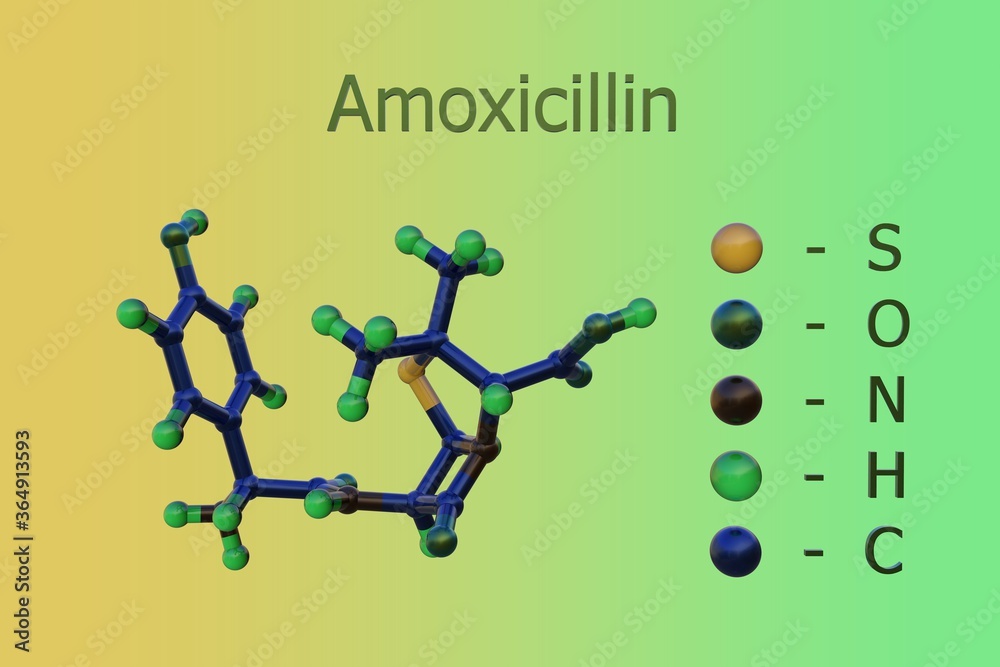 Structural chemical formula and molecular model of amoxicillin, an ...