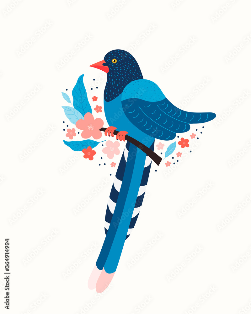 Taiwan blue magpie. Symbol of Taiwan Urocissa caerulea. Exotic birds of ...