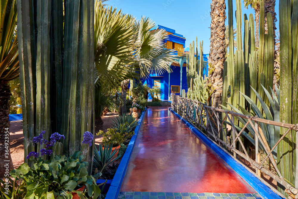 Foto de Marrakech / Morocco- 03/02/2016 : Jardin Majorelle Garden in ...