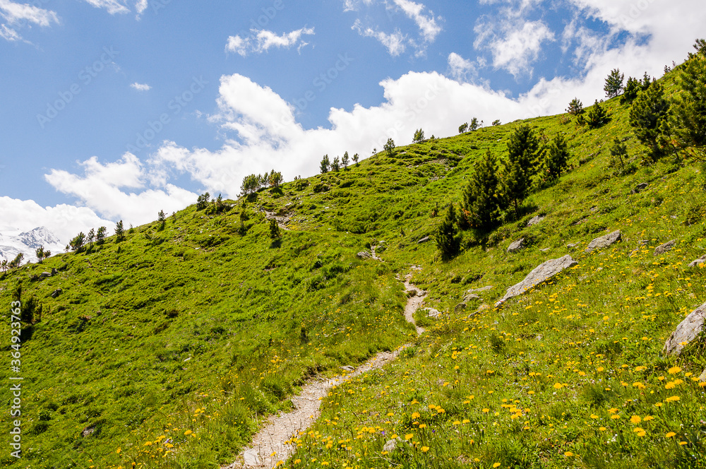 Val Roseg, Piz Roseg, Ova da Roseg, Rosegbach, Rosegtal, Hochtal ...