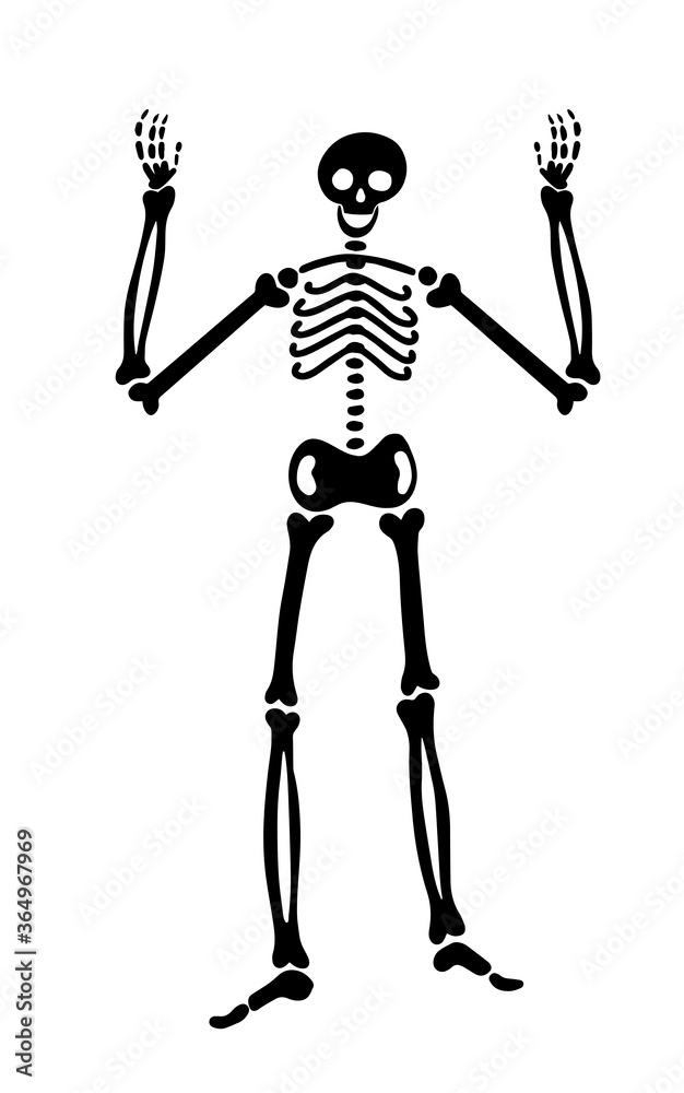 Skeleton of a man raised his hands up. the skeleton surrenders. vector ...