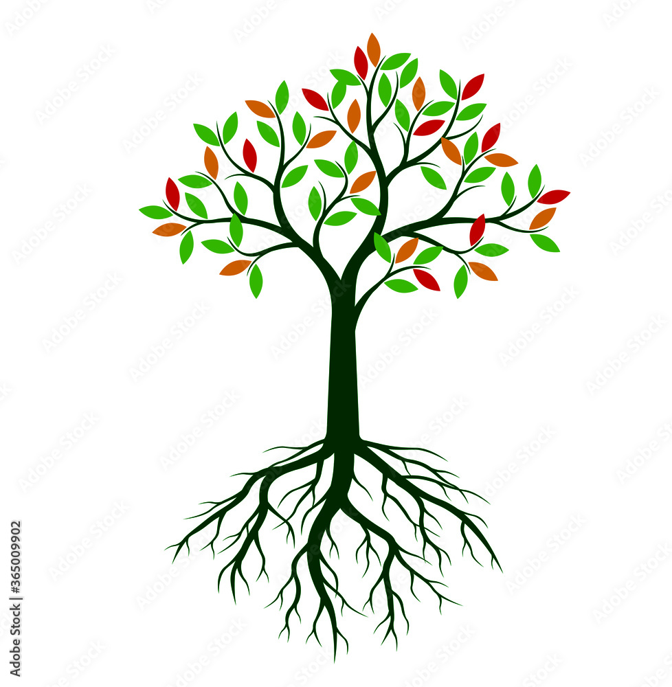 Shape of Tree with colour leaves and Roots. Vector outline Illustration ...