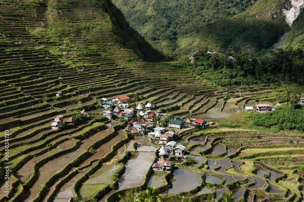 The Batad village cluster-part of the Rice Terraces of the Philippine ...