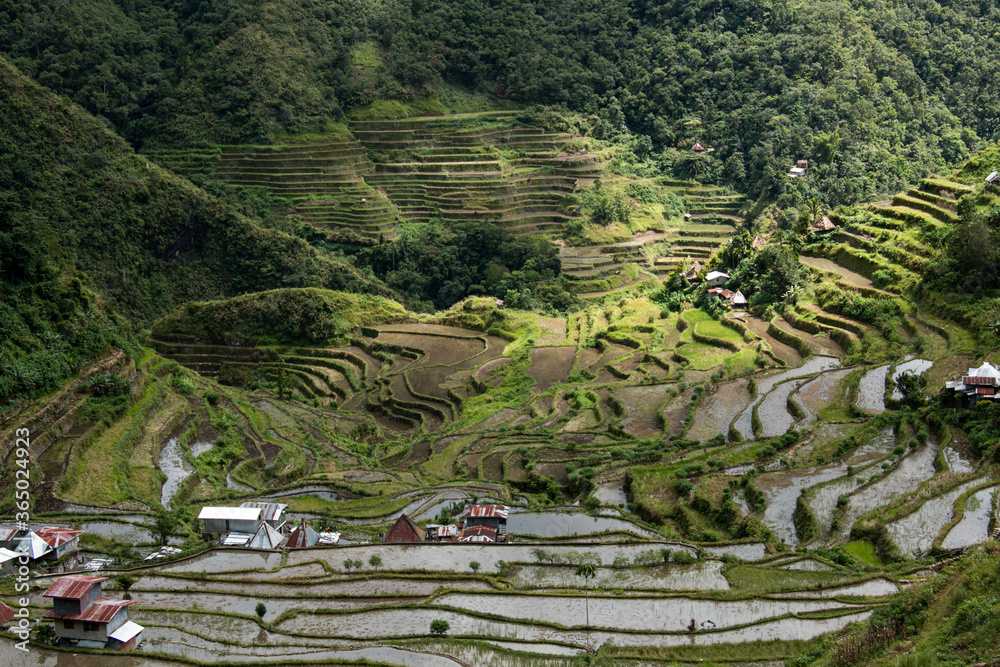 Clustered Rural Settlement