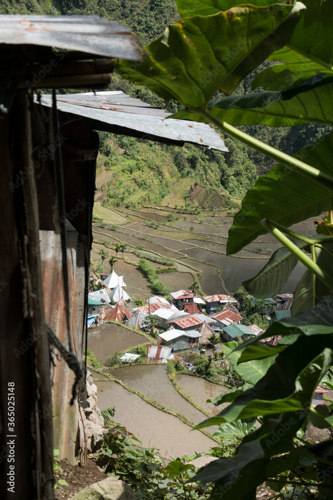 The Batad village cluster-part of the Rice Terraces of the Philippine ...