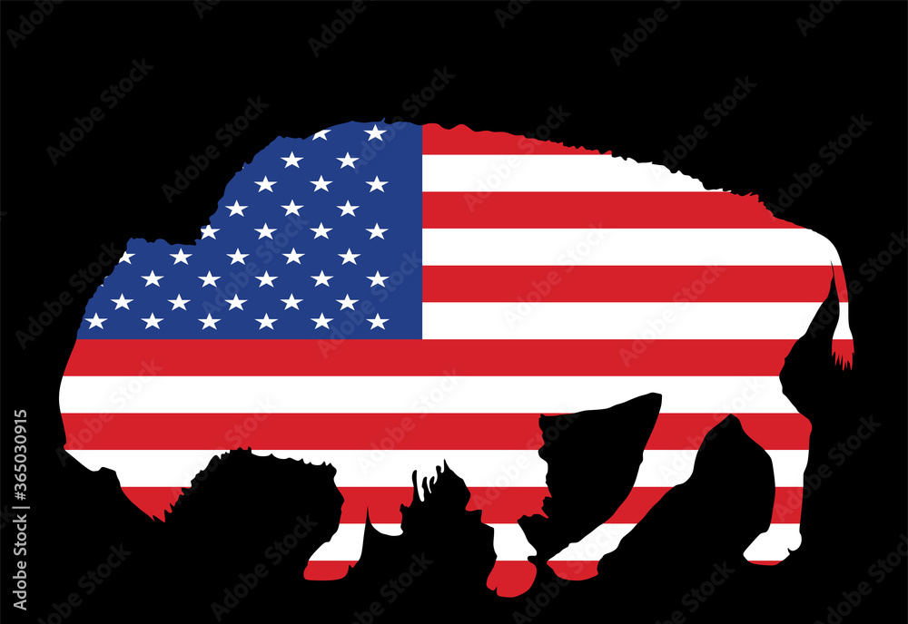 United States of America flag over bison vector isolated. USA flag over ...