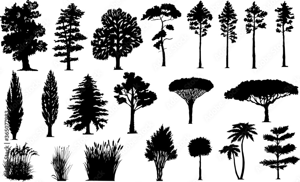 set of trees silhouettes Stock Vector | Adobe Stock