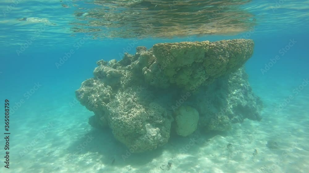 Récif de corail à Rangiroa, Polynésie française Stock Video | Adobe Stock