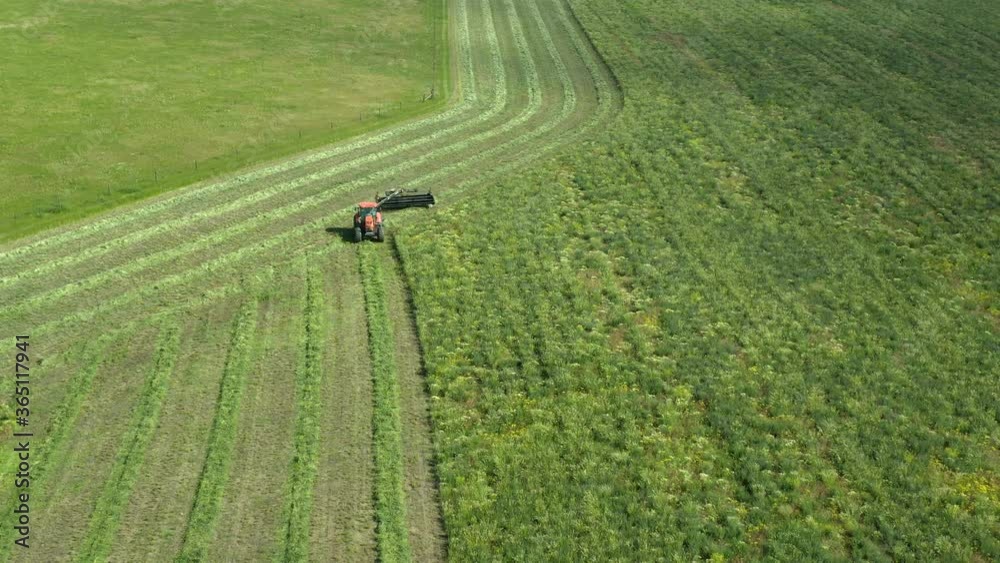 Farming Tractor Cutting And Making Wind Rows In The Rural Field Of ...