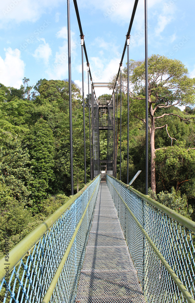 Foto de Suspension bridge at the Tree Top Walk in Singapore Nature ...