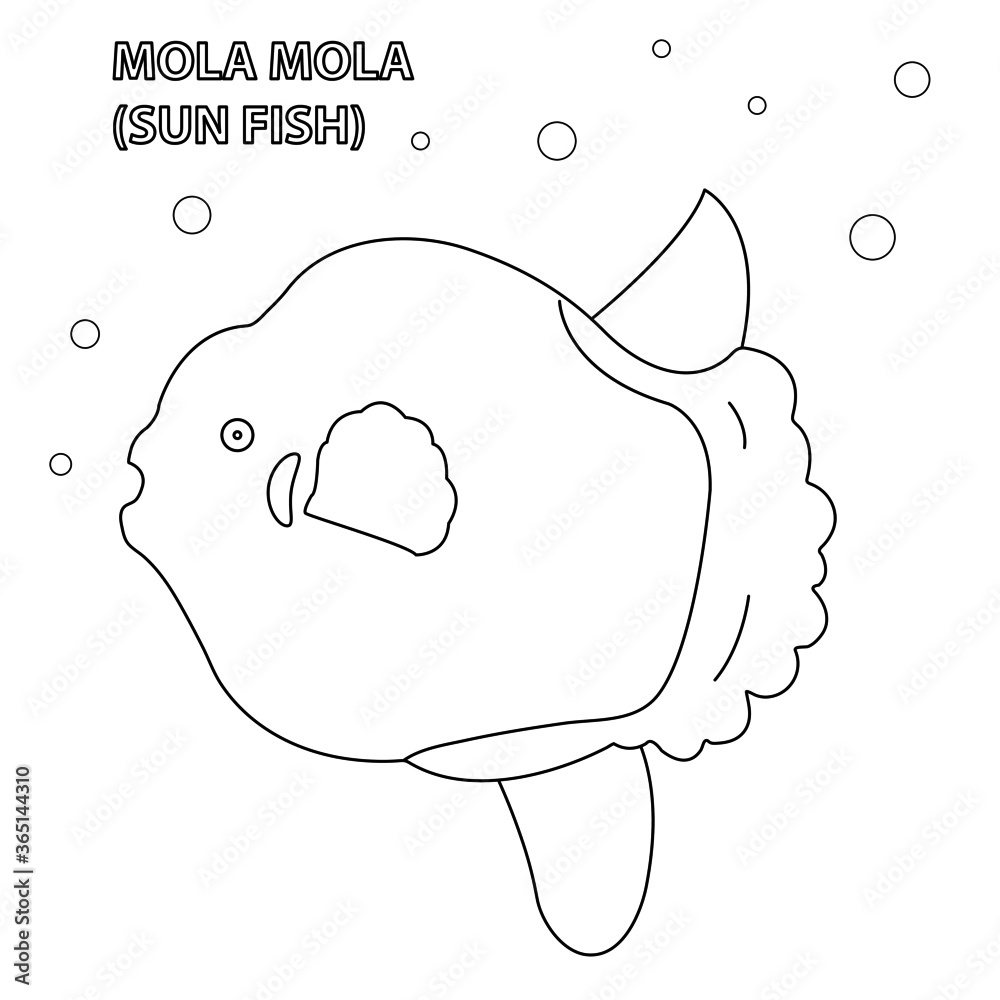 Black and white vector illustration for coloring book. Cartoon mola ...