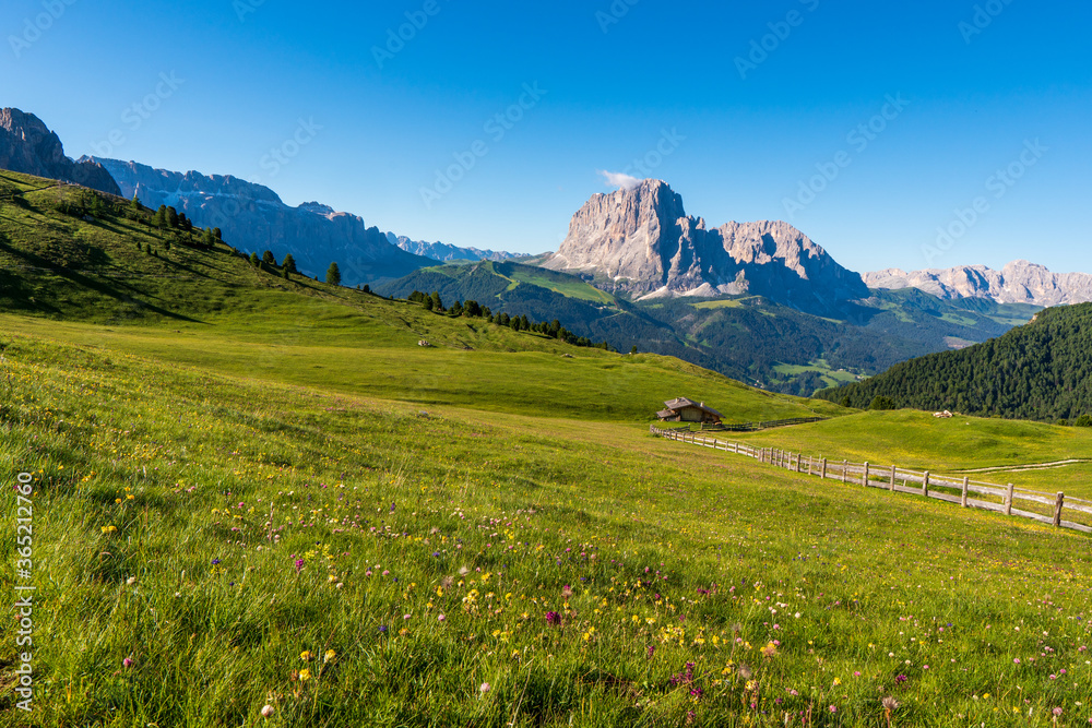 Beautiful alpine countryside. Awesome Alpine landscape with traditional ...