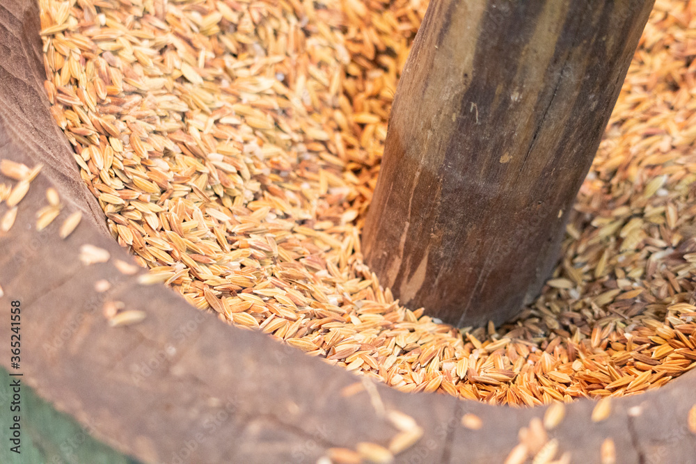 ancient rice milling machine, Thai traditional tools. of Thailand (rice ...