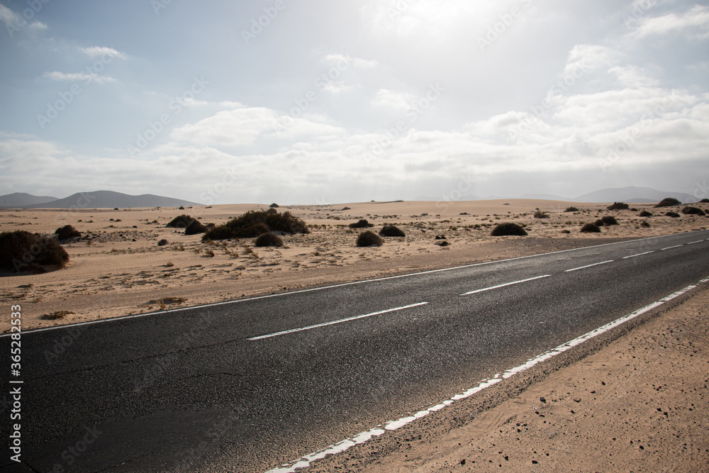 Desert Road From The Side
