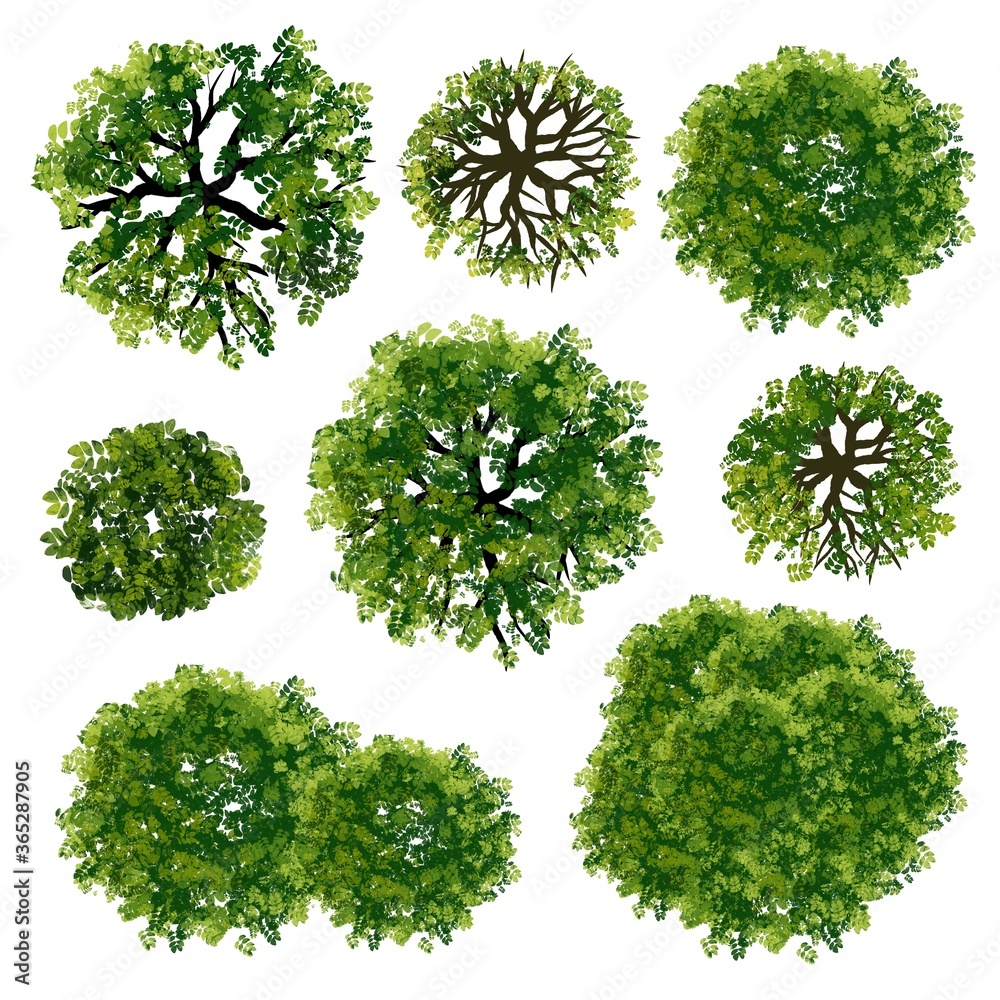set of watercolor tree top view for landscape plan and architecture ...