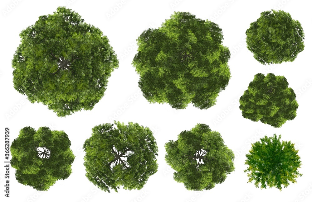 set of watercolor tree top view for landscape plan and architecture ...