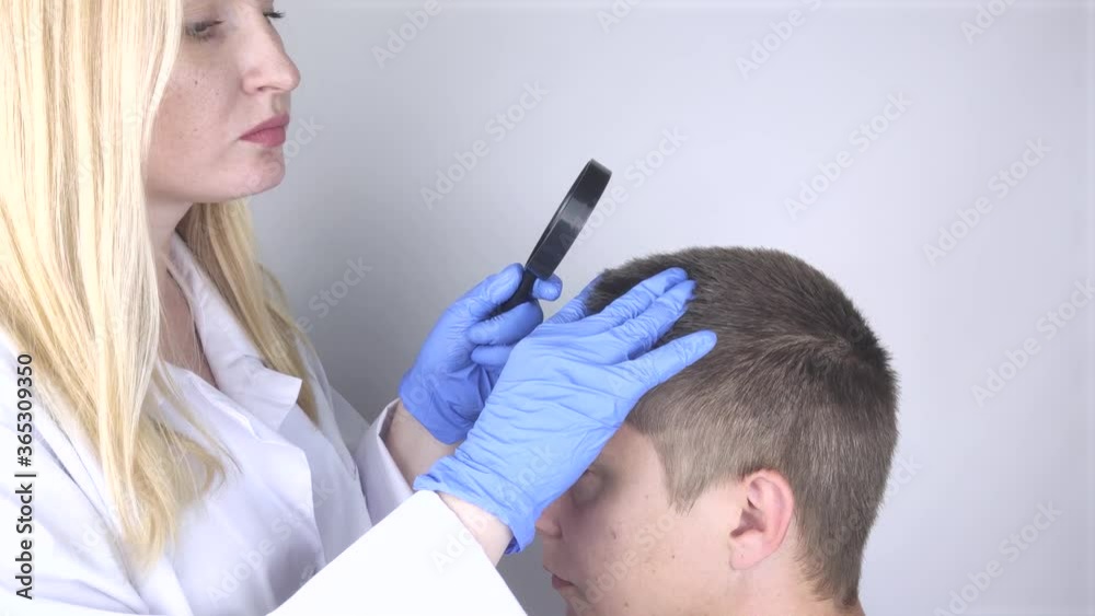 A trichologist examines the hair of a man who begins alopecia ...