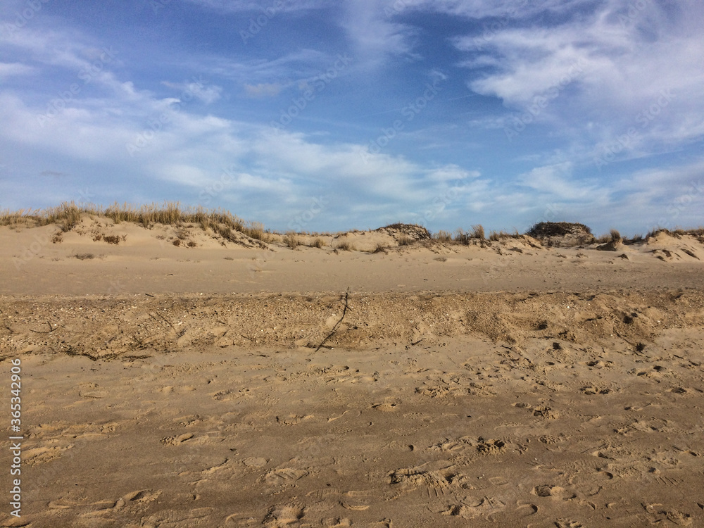 Wavy white clouds and blue sky form over dunes and sandy beach at Cape ...