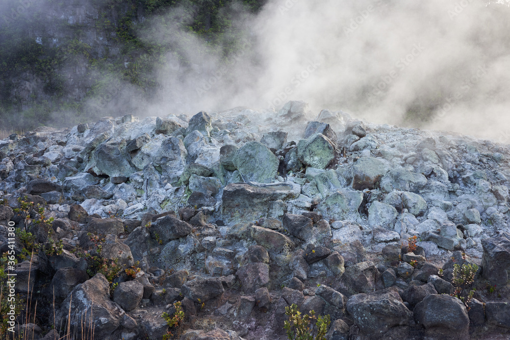 Foto Stock Volcanic gases rich in carbon dioxide, sulfur dioxide and ...