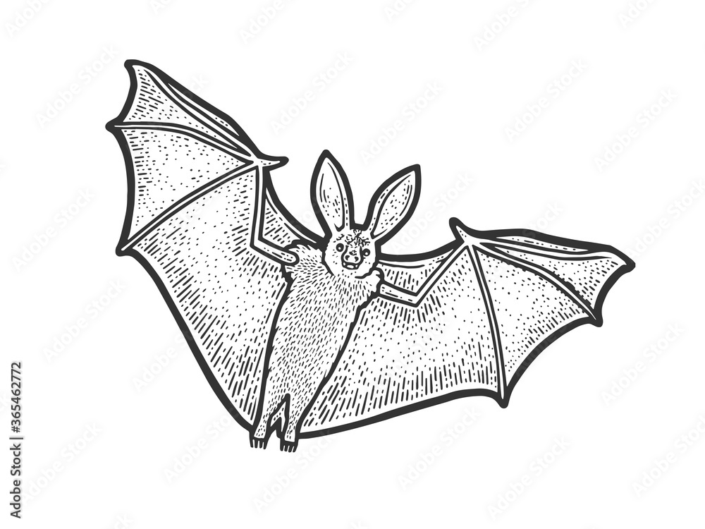 flying bat sketch engraving vector illustration. T-shirt apparel print ...