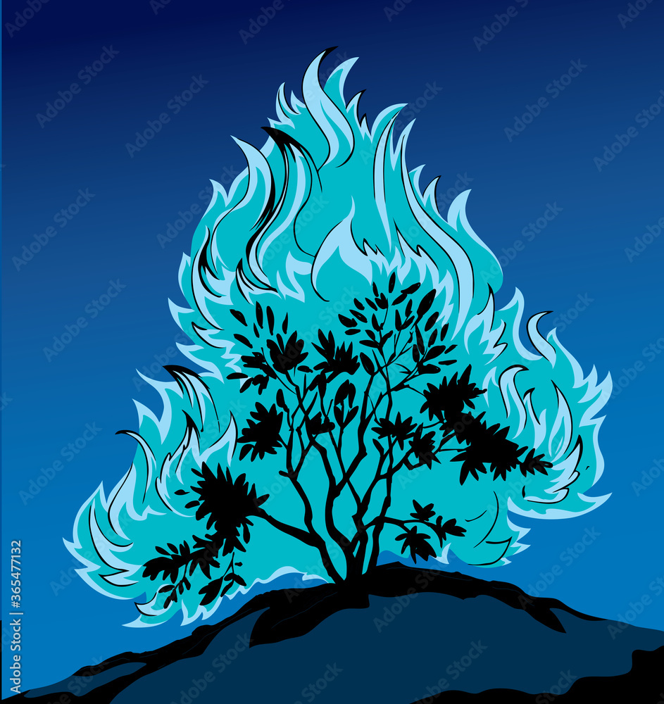 Burning Bush Clip Art