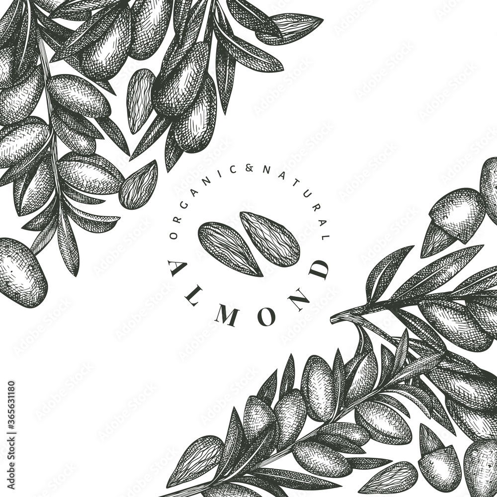 Hand drawn sketch almond design template. Organic food vector ...