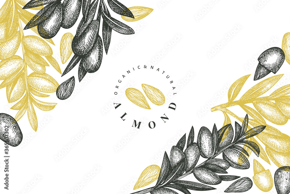 Hand drawn sketch almond design template. Organic food vector ...