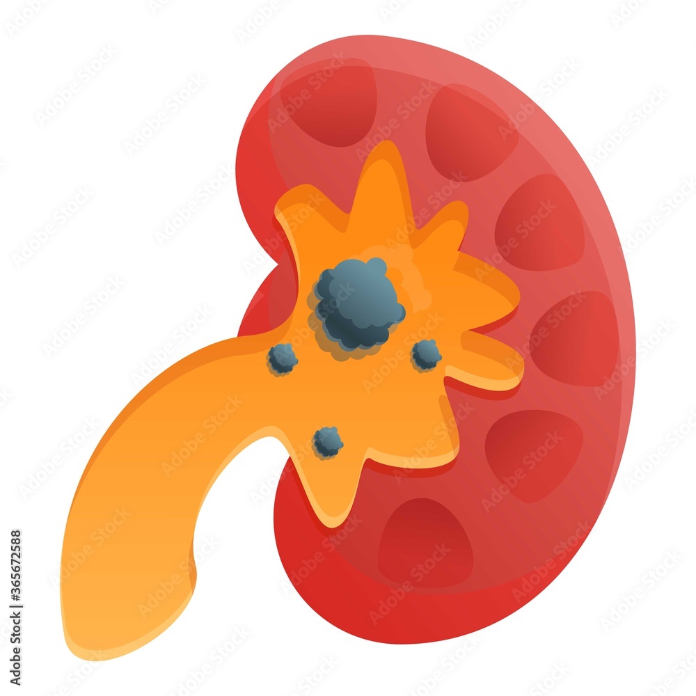 Pain kidney icon. Cartoon of pain kidney vector icon for web design ...