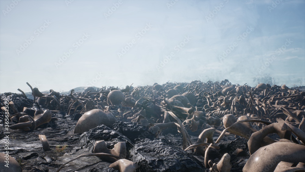 Old human skulls and bones left over from the battle. The concept of ...