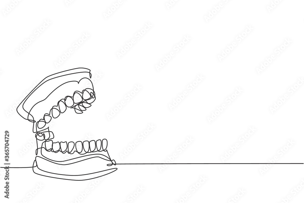 One continuous line drawing of anatomical complete adult human teeth ...
