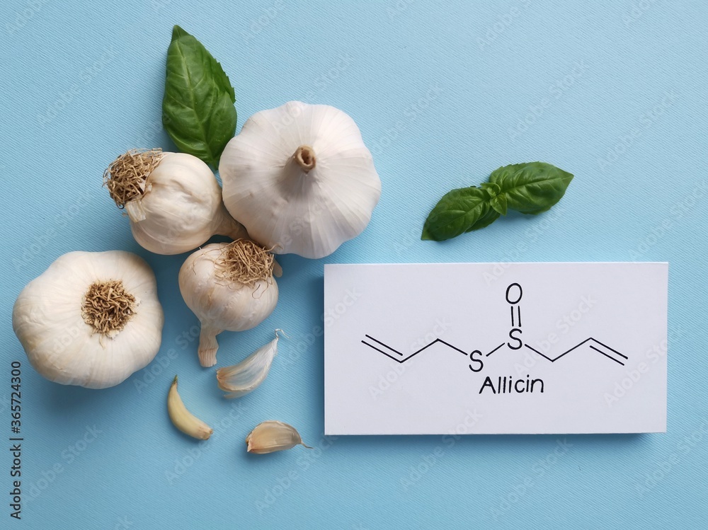 Structural chemical formula of allicin molecule with raw garlic ...