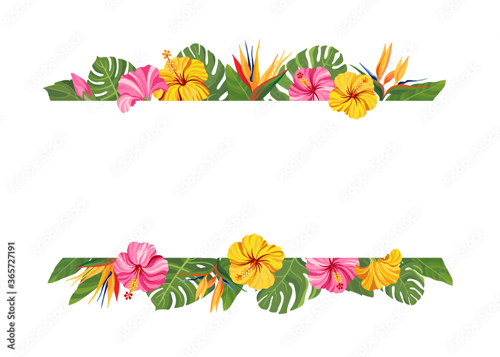 Tropical flowers frame. Hibiscus and strelitzia floral border with ...