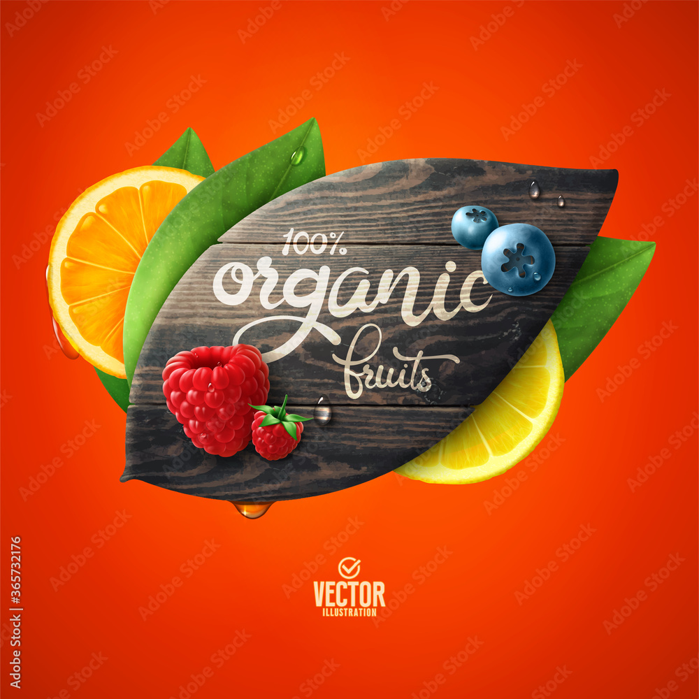 Vector realistic summer fruits template. Leaf shaped wood, leaves and ...