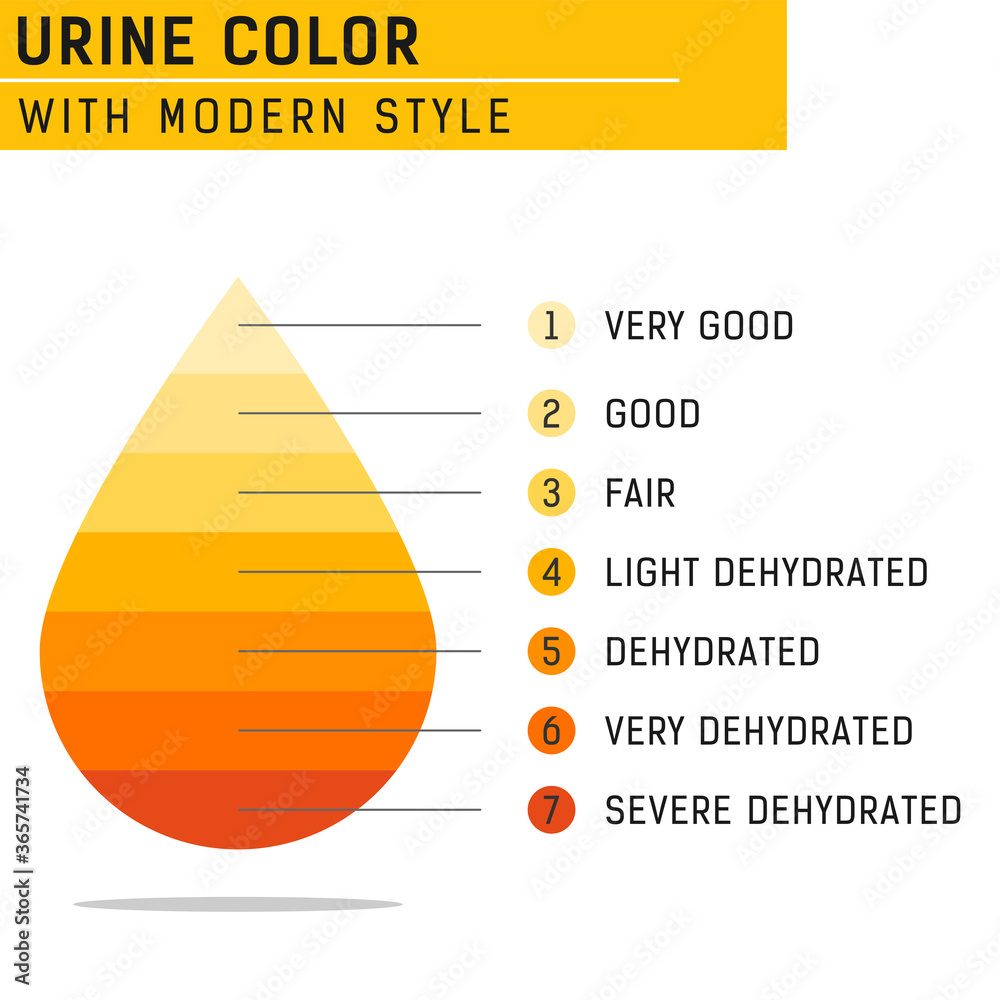 Urine color vector illustration isolated on white background. Vector ...