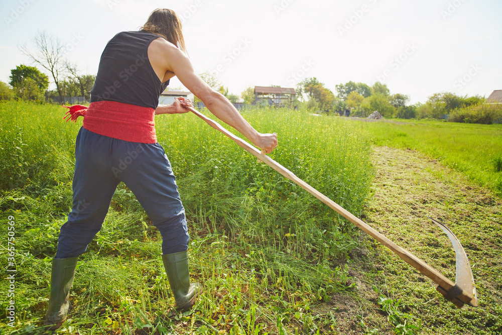 Rural farmer on summer meadow mowing grass with classic scythe ...