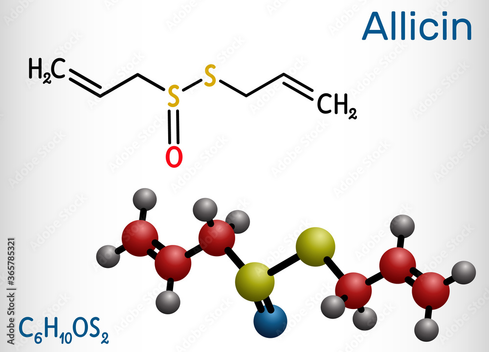 Allicin, sulfoxide molecule. This compound exhibits antibacterial and ...