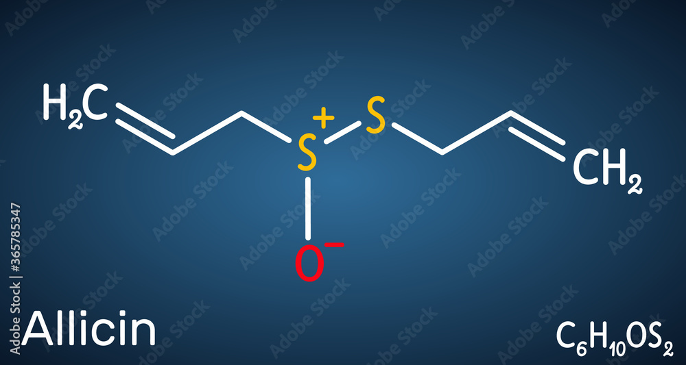 Allicin, sulfoxide molecule. This compound exhibits antibacterial and ...