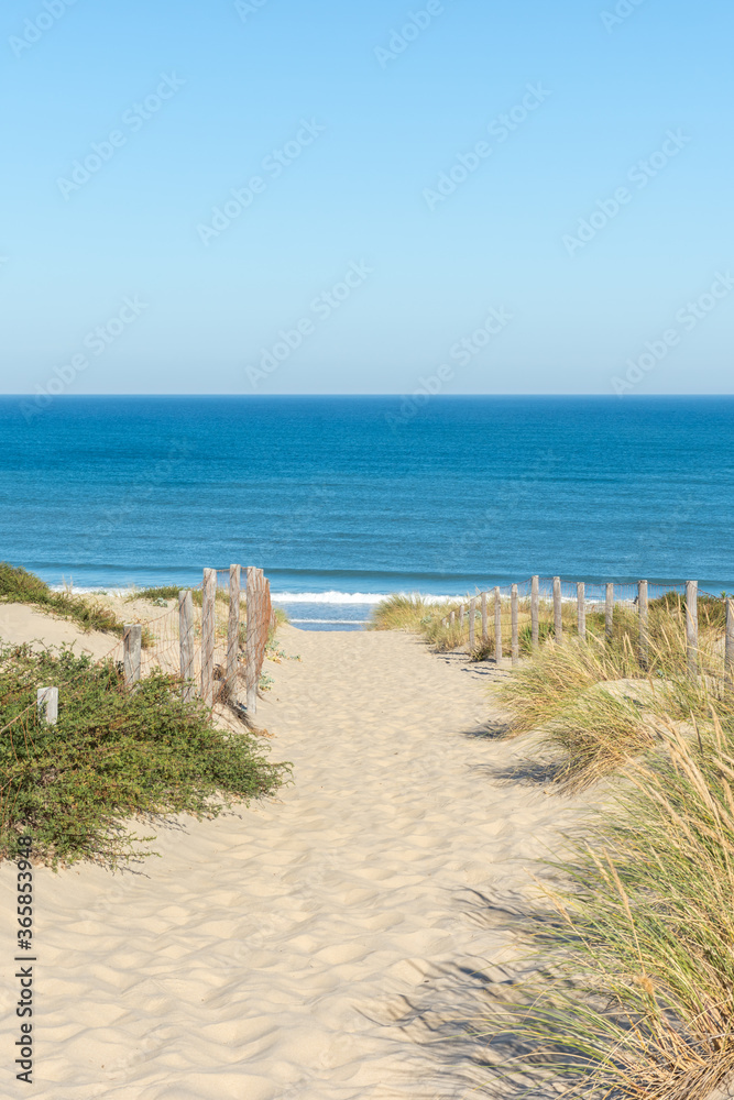 Foto de CAP FERRET (Bassin d'Arcachon, France), accès à la plage de La ...