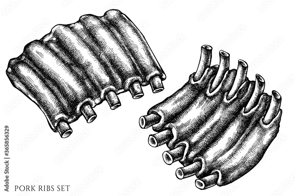 Vector set of hand drawn black and white Pork ribs Stock Vector | Adobe ...